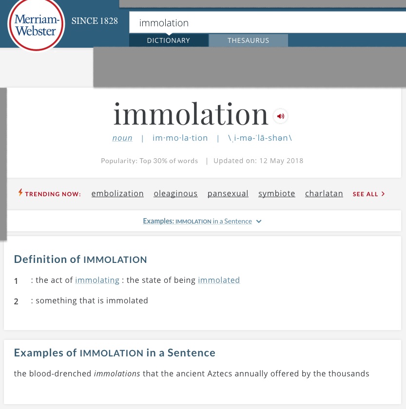Dear Merriam-Webster, you should define “immolation” better than this ...
